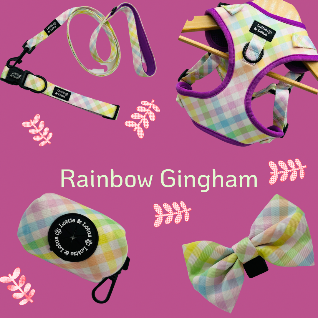Rainbow Gingham – Lottie & Lotus